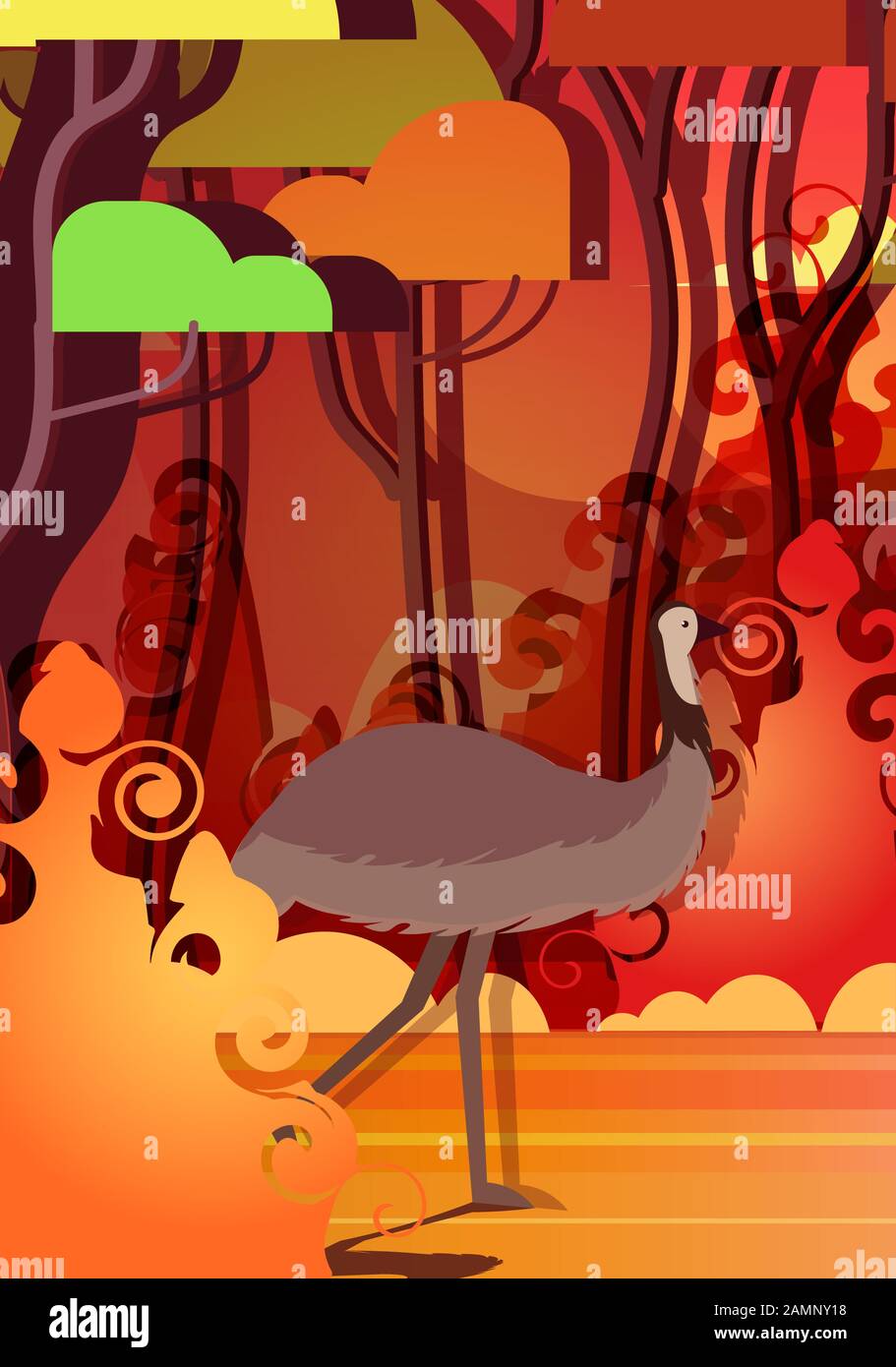 Emu ostrich running from hi-res stock photography and images - Alamy