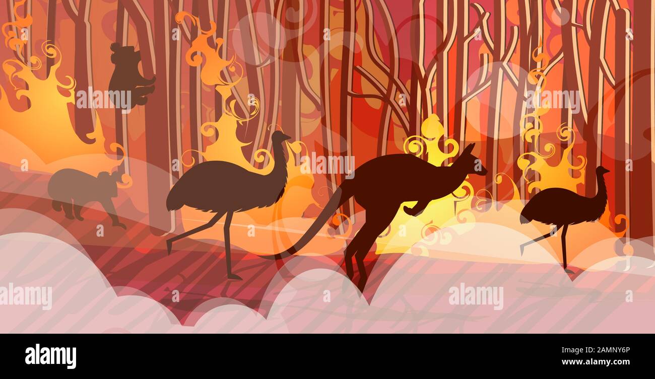 australian animals silhouettes running from forest fires in australia ...