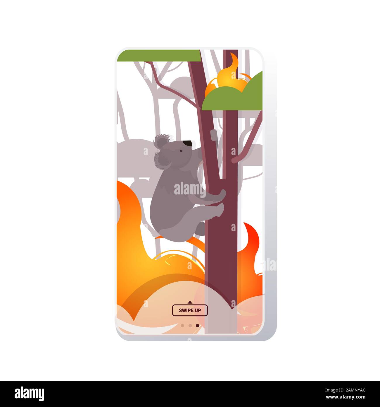 koala climbing tree forest fires in australia animals dying in wildfire ...