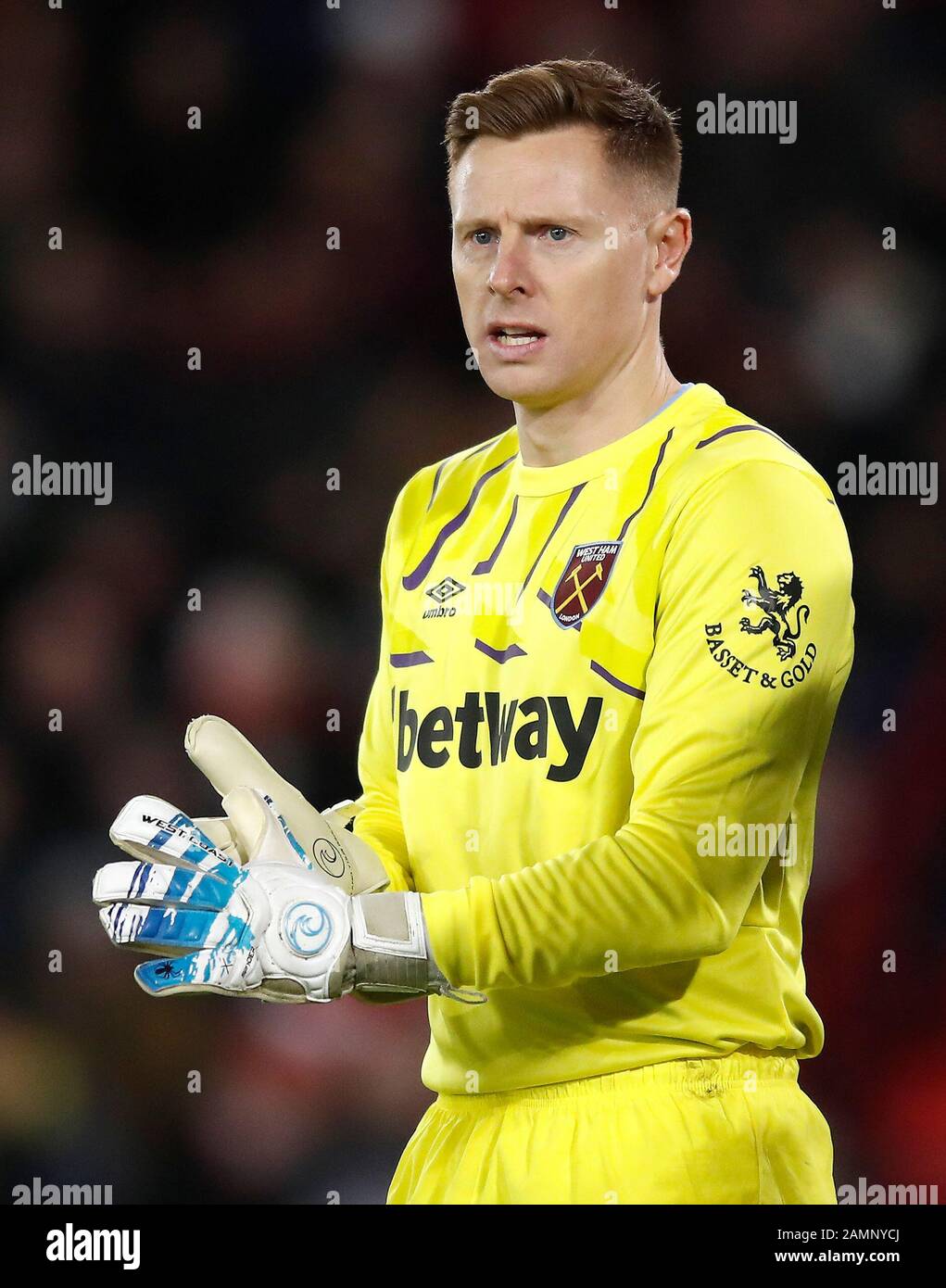 West Ham United's David Martin Stock Photo - Alamy
