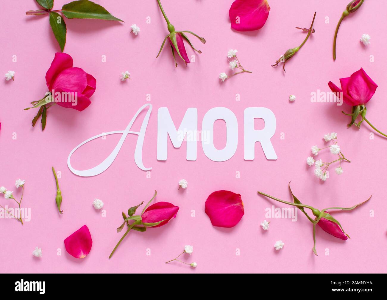 Pink roses and text AMOR on a light pink background top view Stock ...