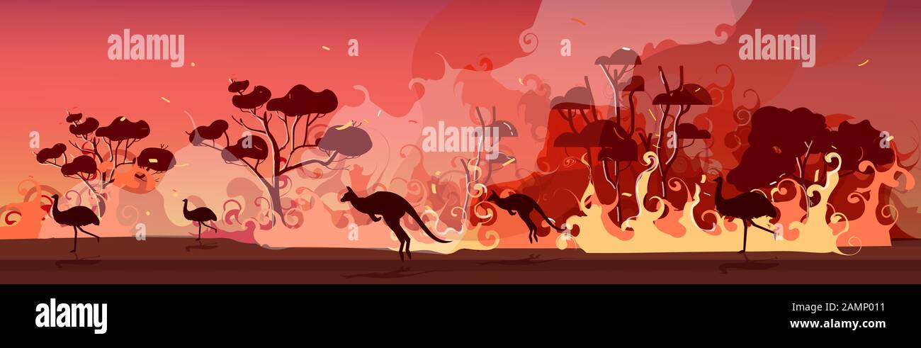 australian animals silhouettes running from forest fires in australia ...