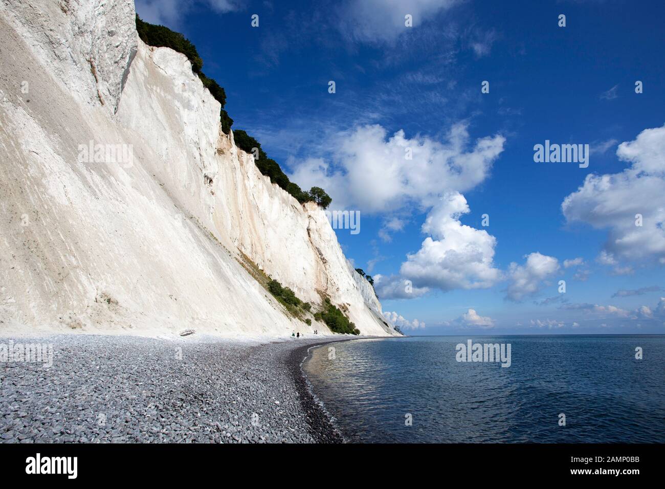 Moens Klint chalk cliffs, Møn, Mons Klint, Moen, Baltic Sea, Denmark ...