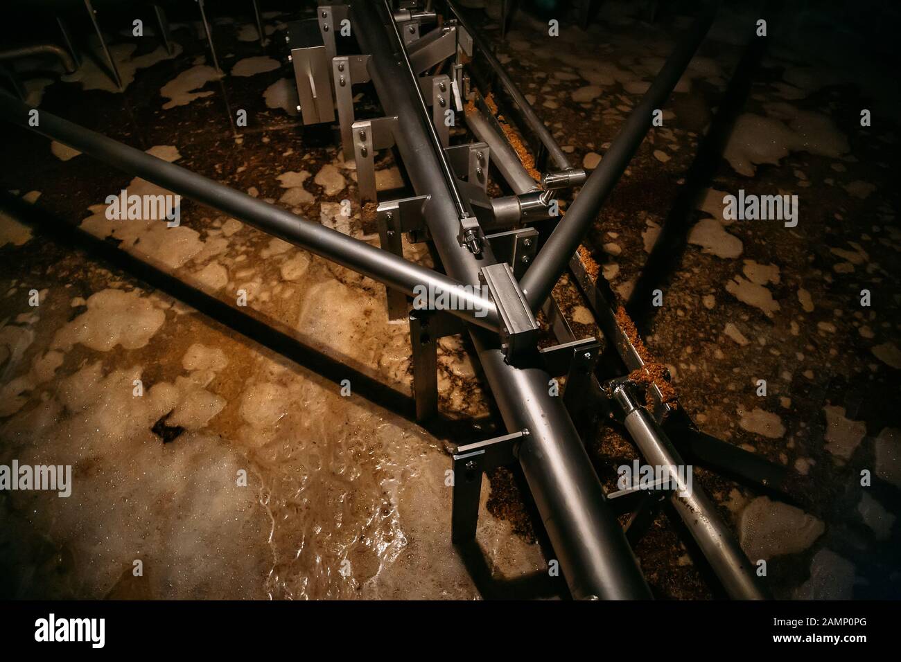 Brewing process. Fermentation and filtration of beer inside the vat ...