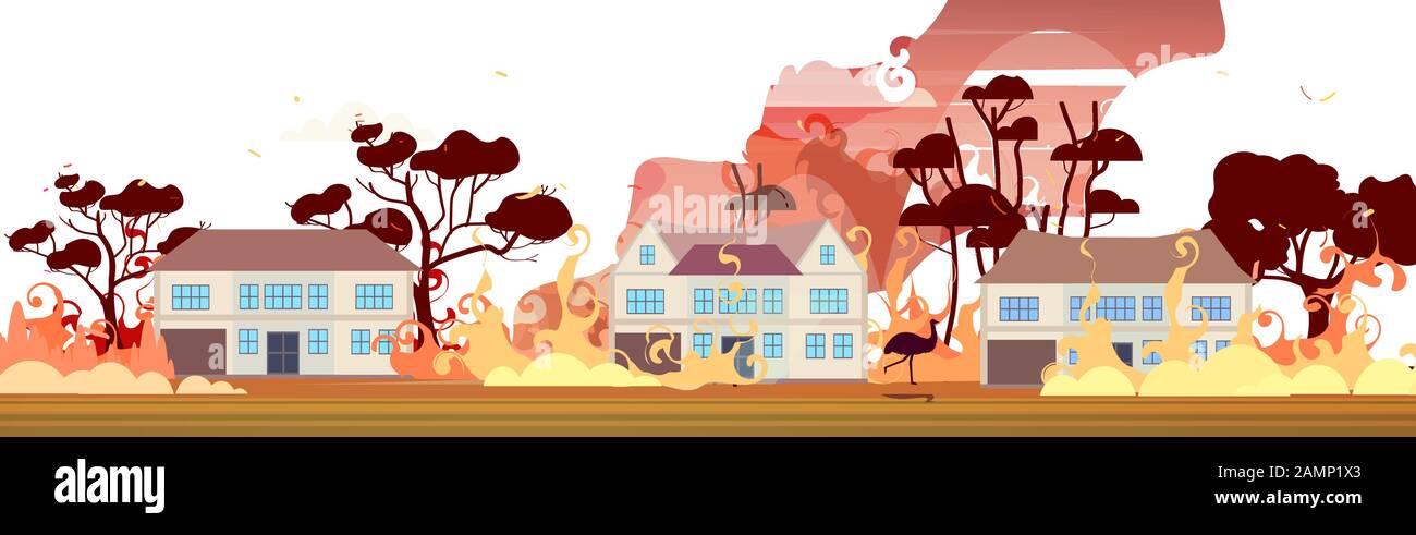 Emu ostrich running from hi-res stock photography and images - Alamy