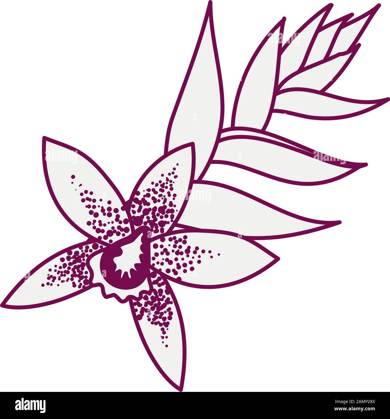 tropical heliconia and flower exotic plant Stock Vector Image & Art - Alamy