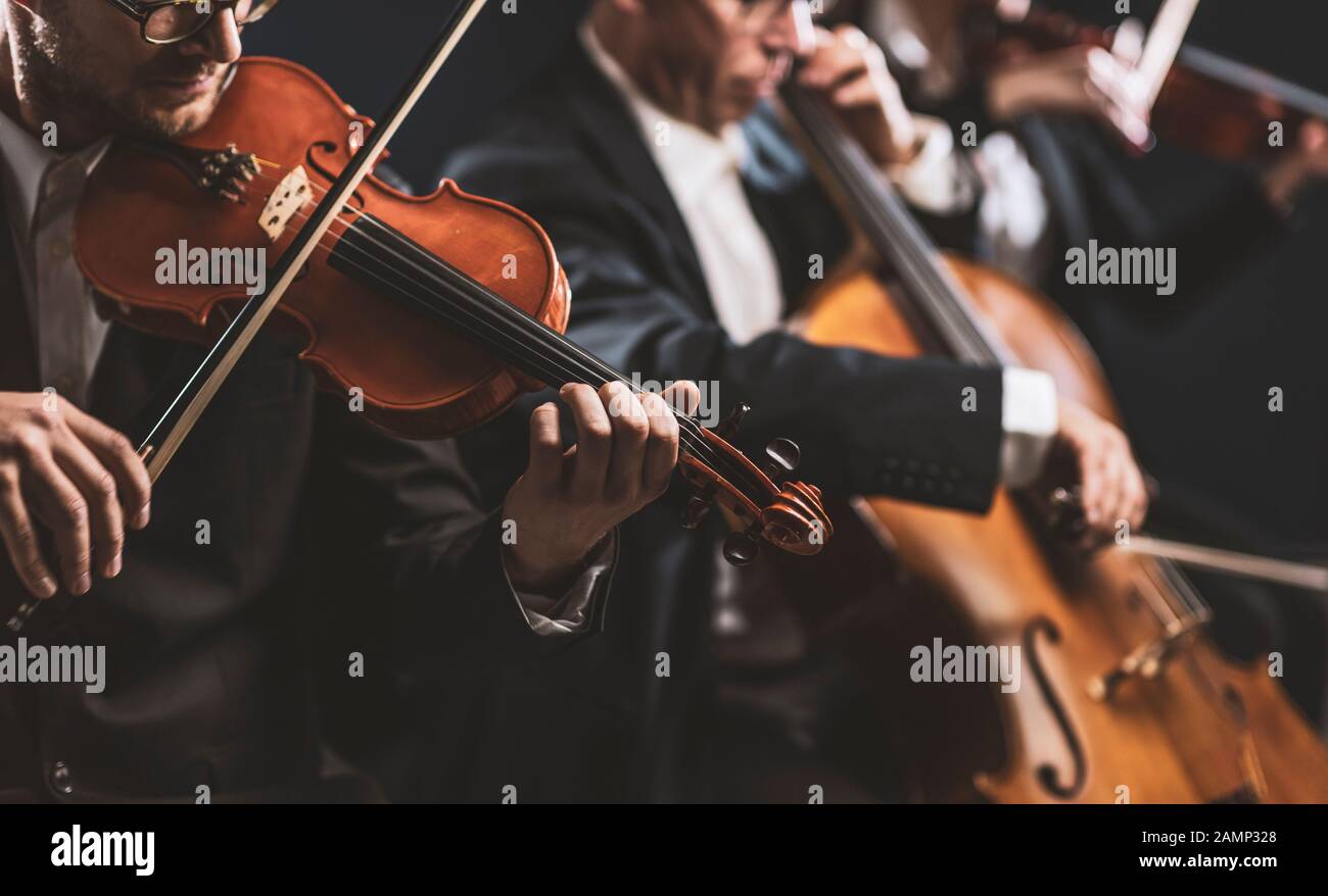 Professional symphonic string orchestra performing on stage and playing ...