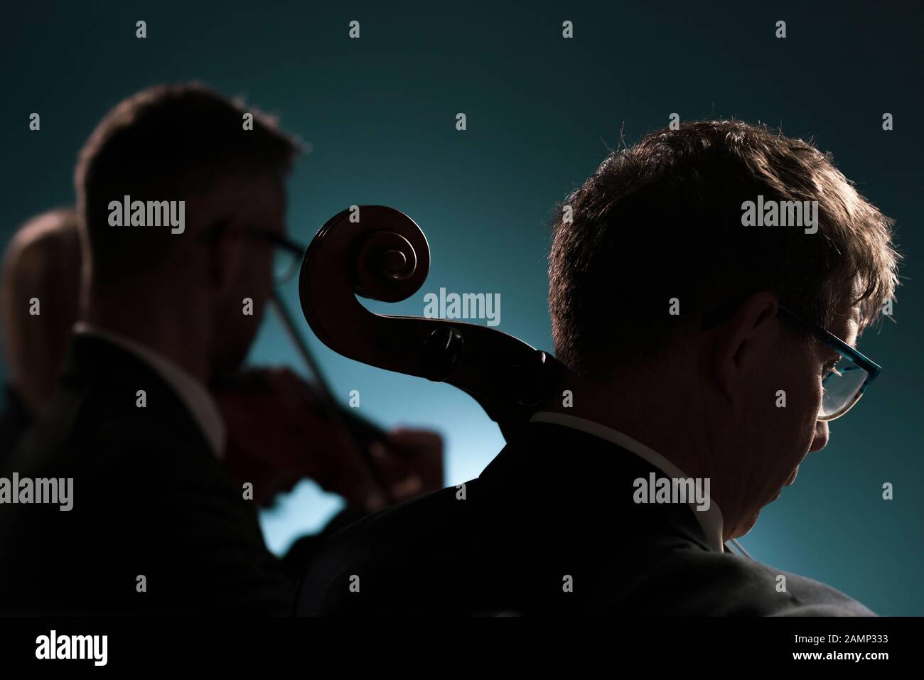 Professional musician playing on stage a classical music concert, back ...
