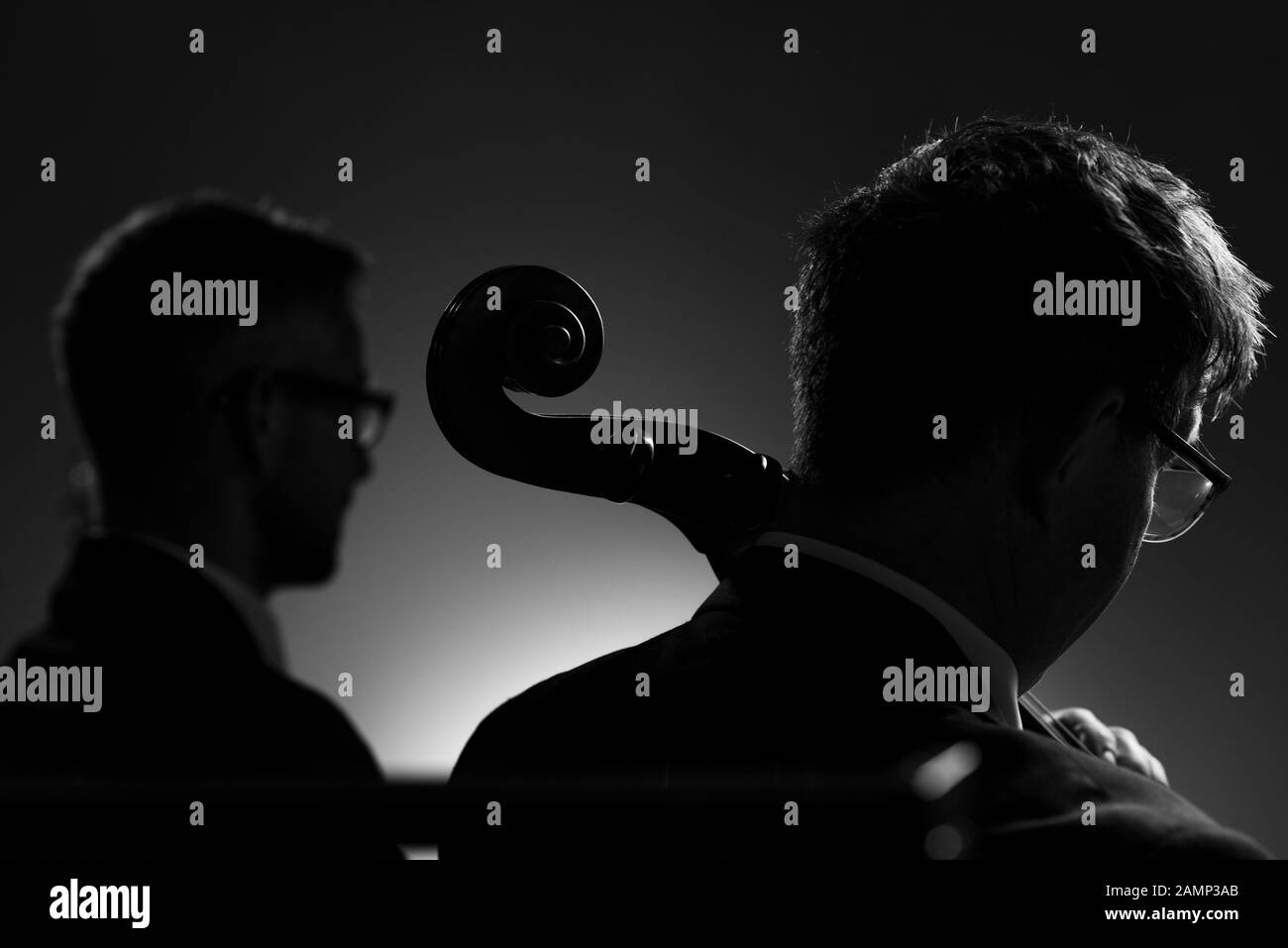 Professional musician playing on stage a classical music concert, back ...