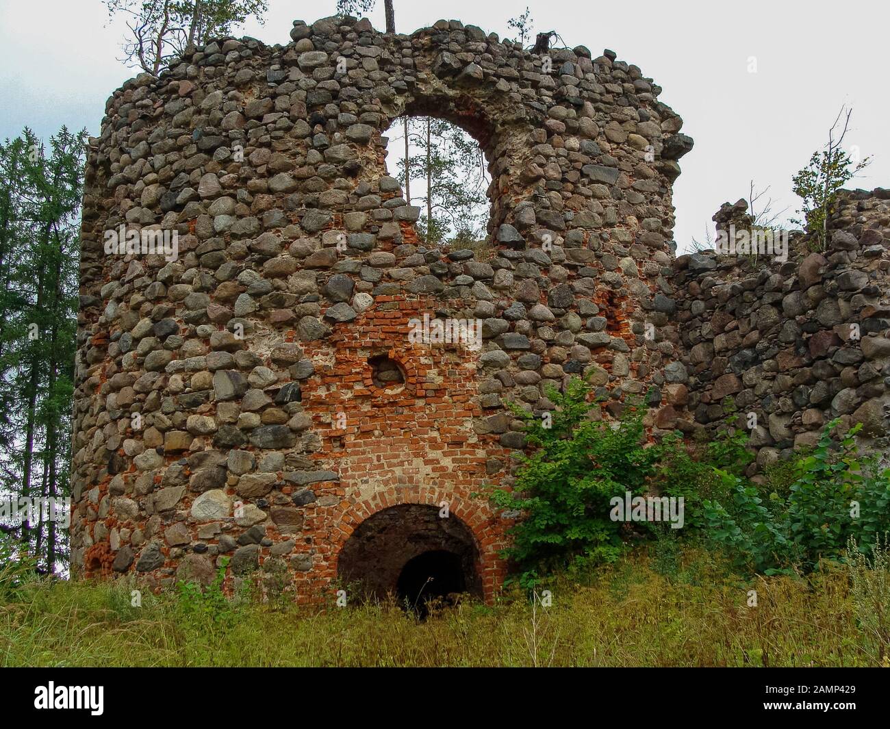landscape with old castle tower ruins, tree branches and grass in the ...