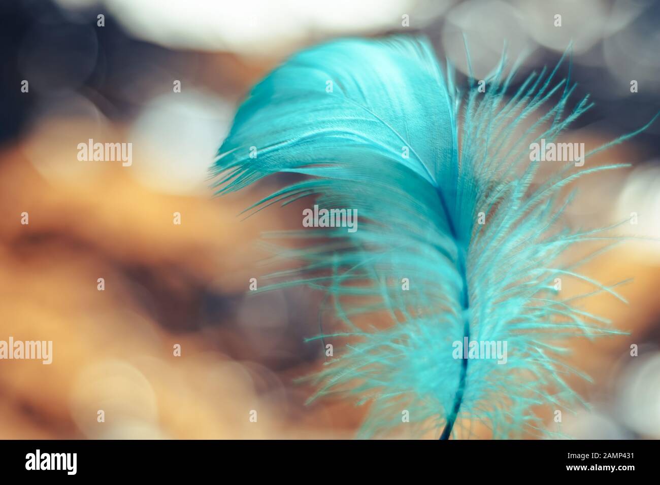 Close up Beautiful blue Bird feather pattern on a bokeh background for ...