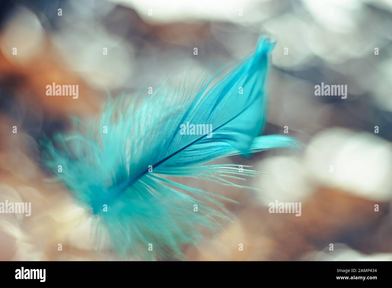 Close up Beautiful blue Bird feather pattern on a bokeh background for ...