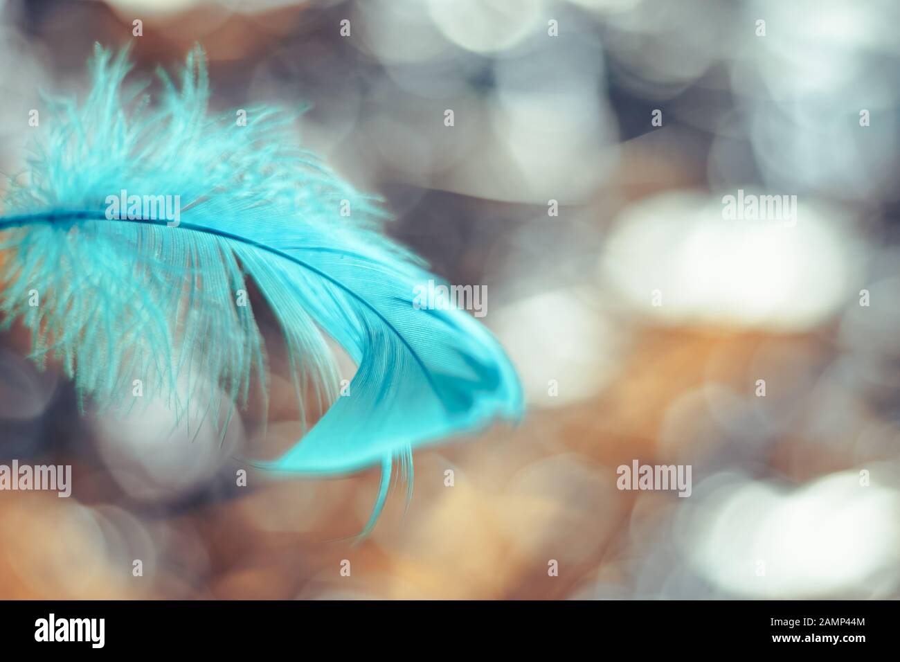 Close up Beautiful blue Bird feather pattern on a bokeh background for ...