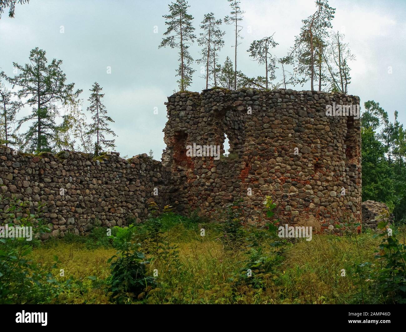 landscape with old castle tower ruins, tree branches and grass in the ...