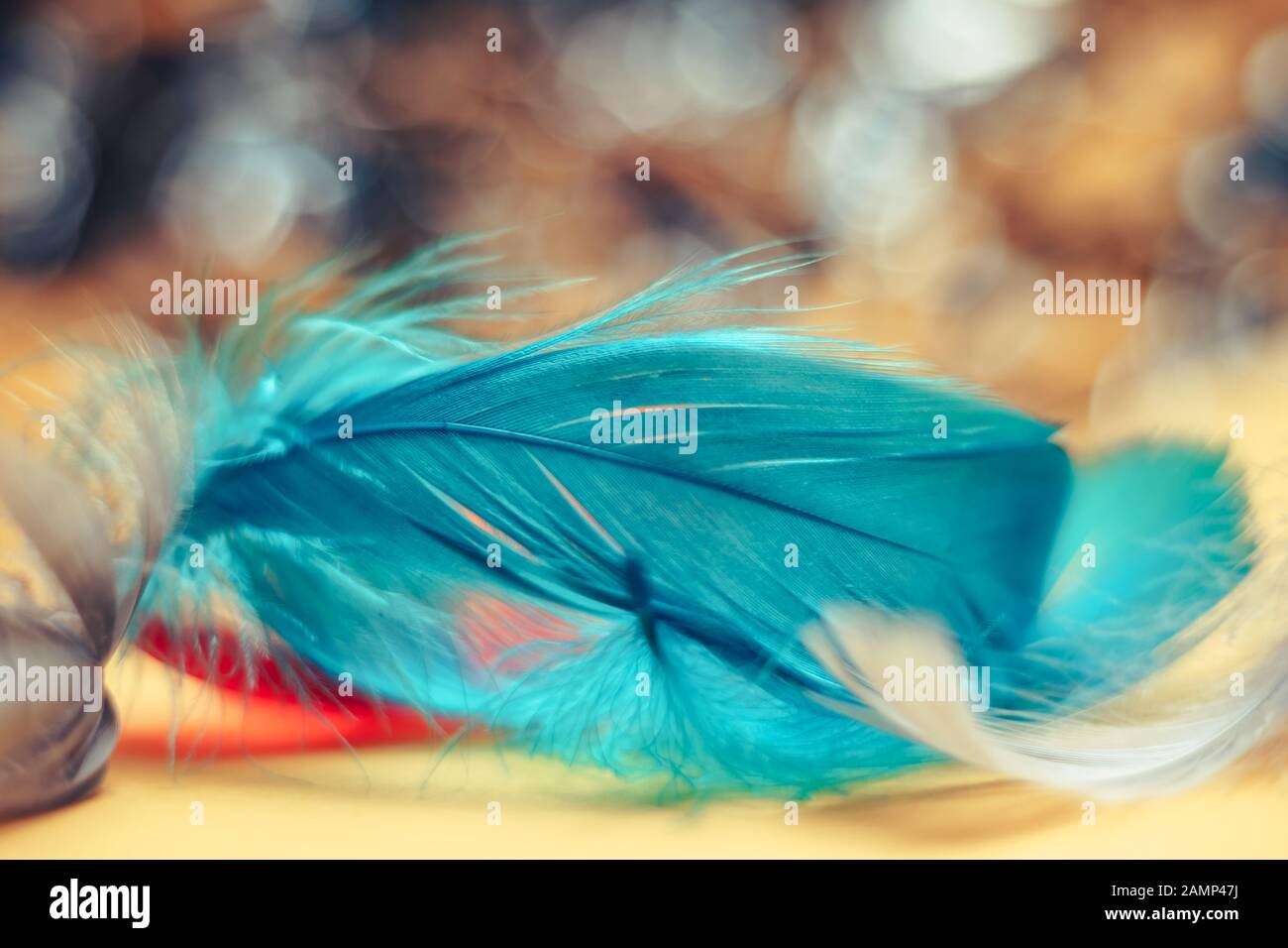 Close up Beautiful blue Bird feather pattern on a bokeh background for ...