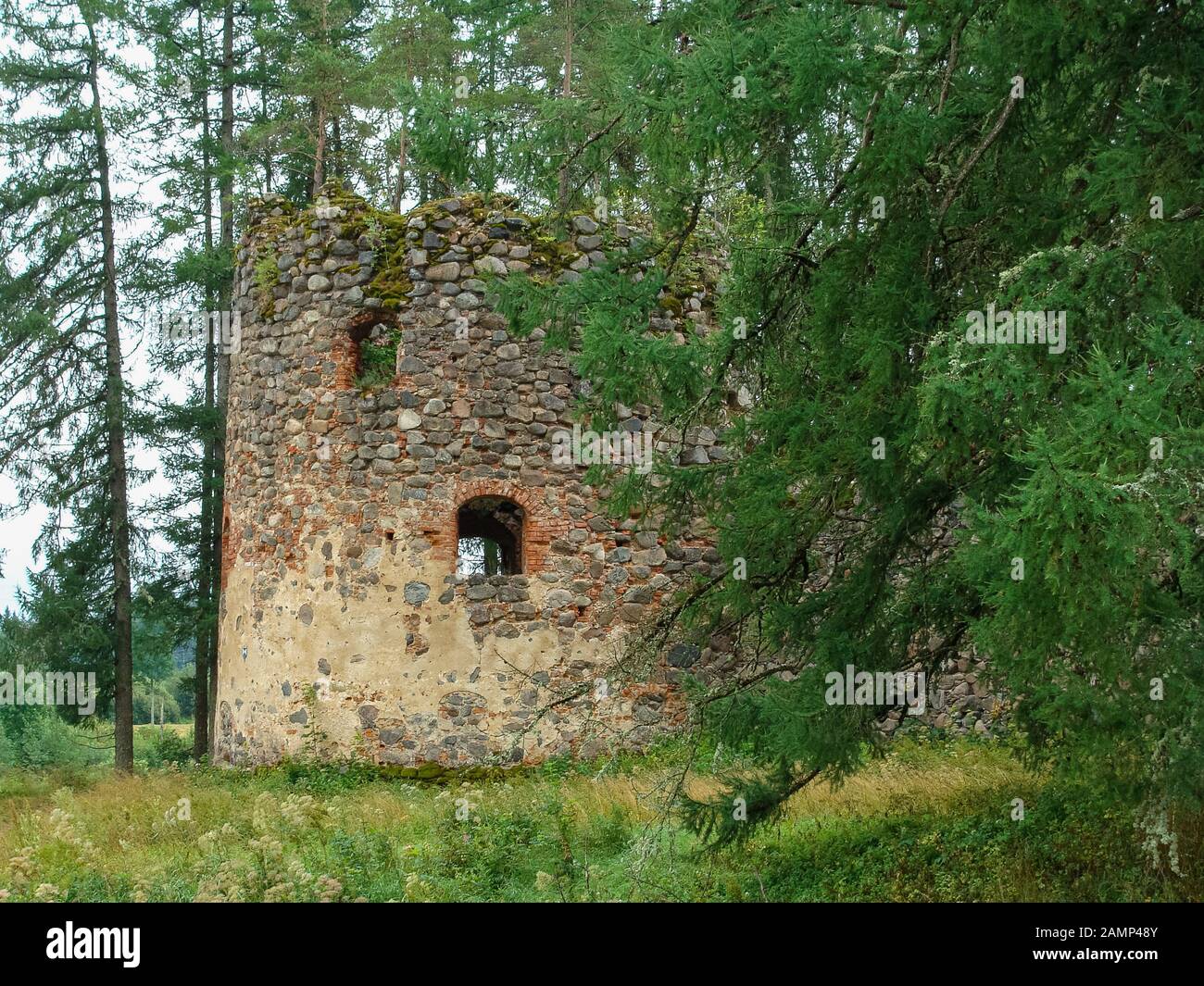 landscape with old castle tower ruins, tree branches and grass in the ...