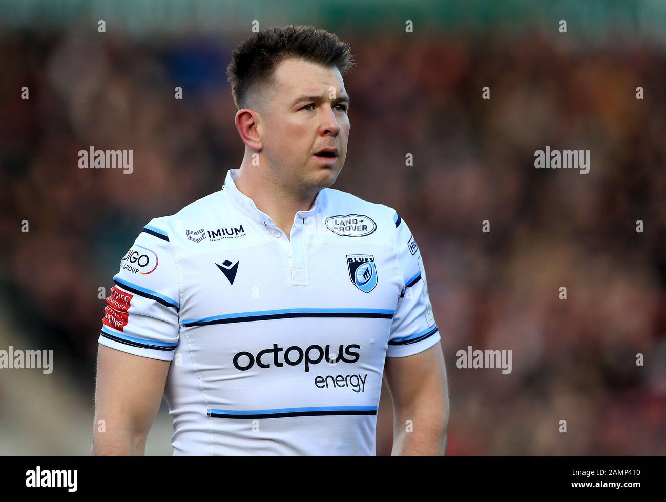 Jason Harries High Resolution Stock Photography and Images - Alamy