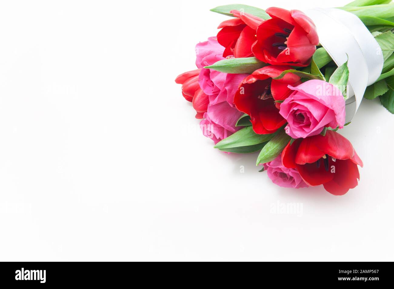 Red tulip abstract Cut Out Stock Images & Pictures - Alamy