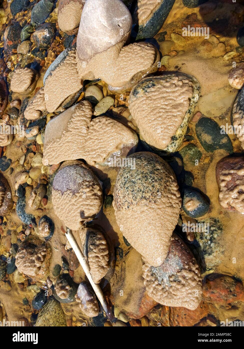 abstract photo with rocks and sand texture on the seashore Stock Photo ...