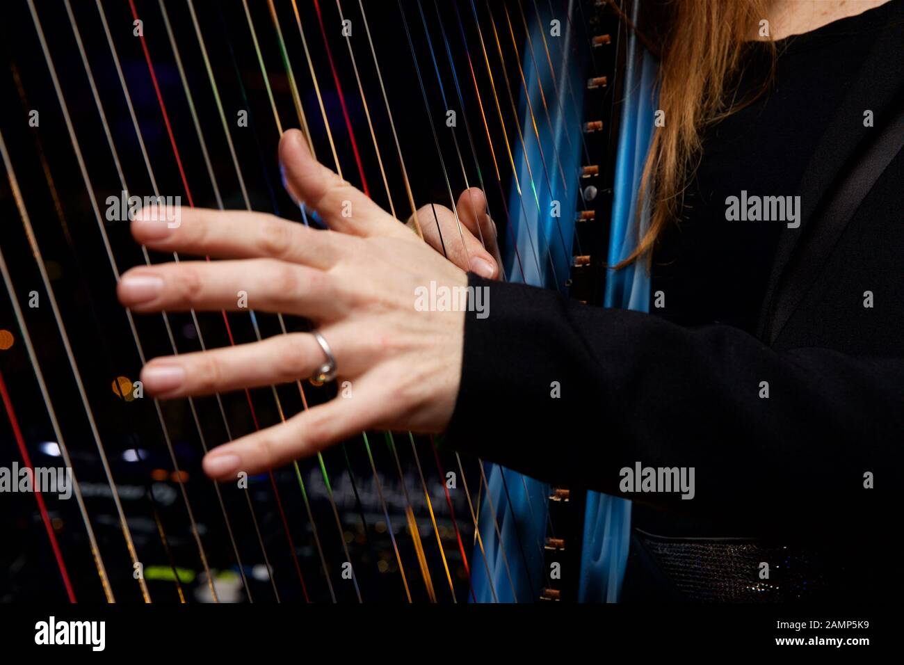 Close harp hi-res stock photography and images - Alamy