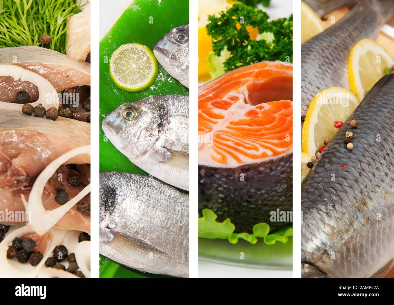 Collage of different delicious fish Stock Photo - Alamy