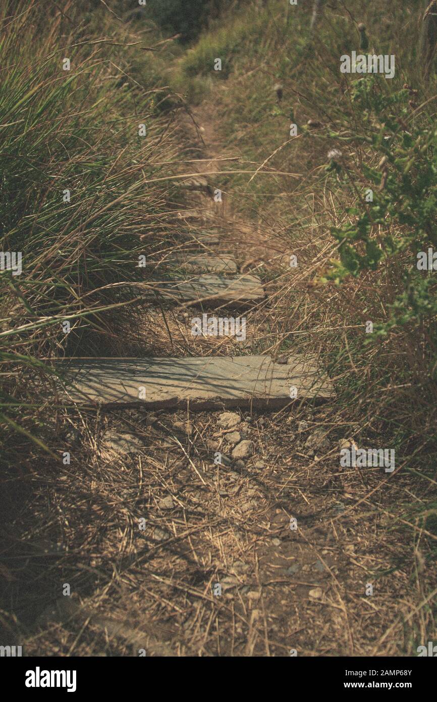 Path with bushes hi-res stock photography and images - Alamy