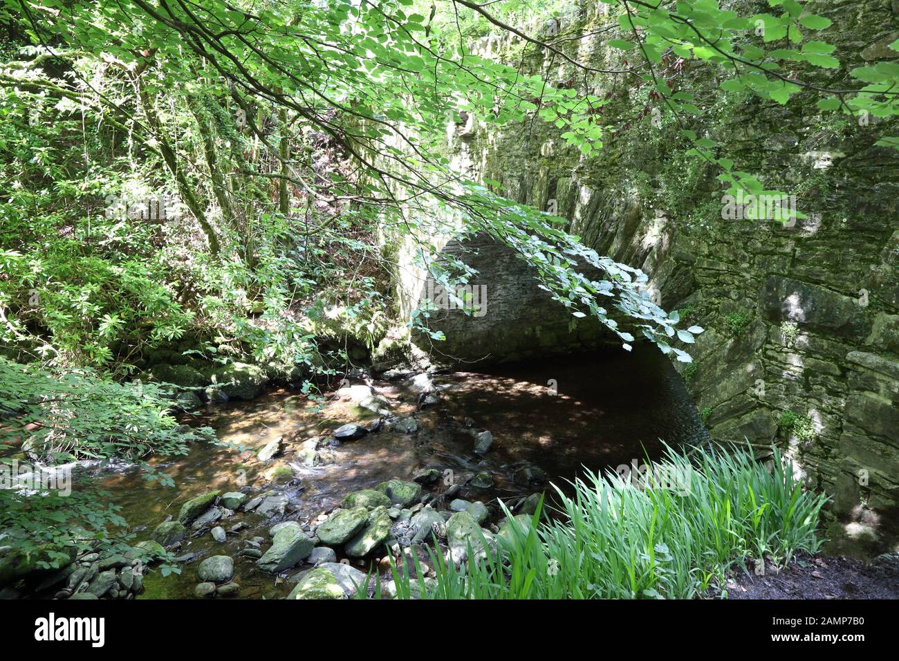 Muckross house Torc waterfall Stock Photo - Alamy