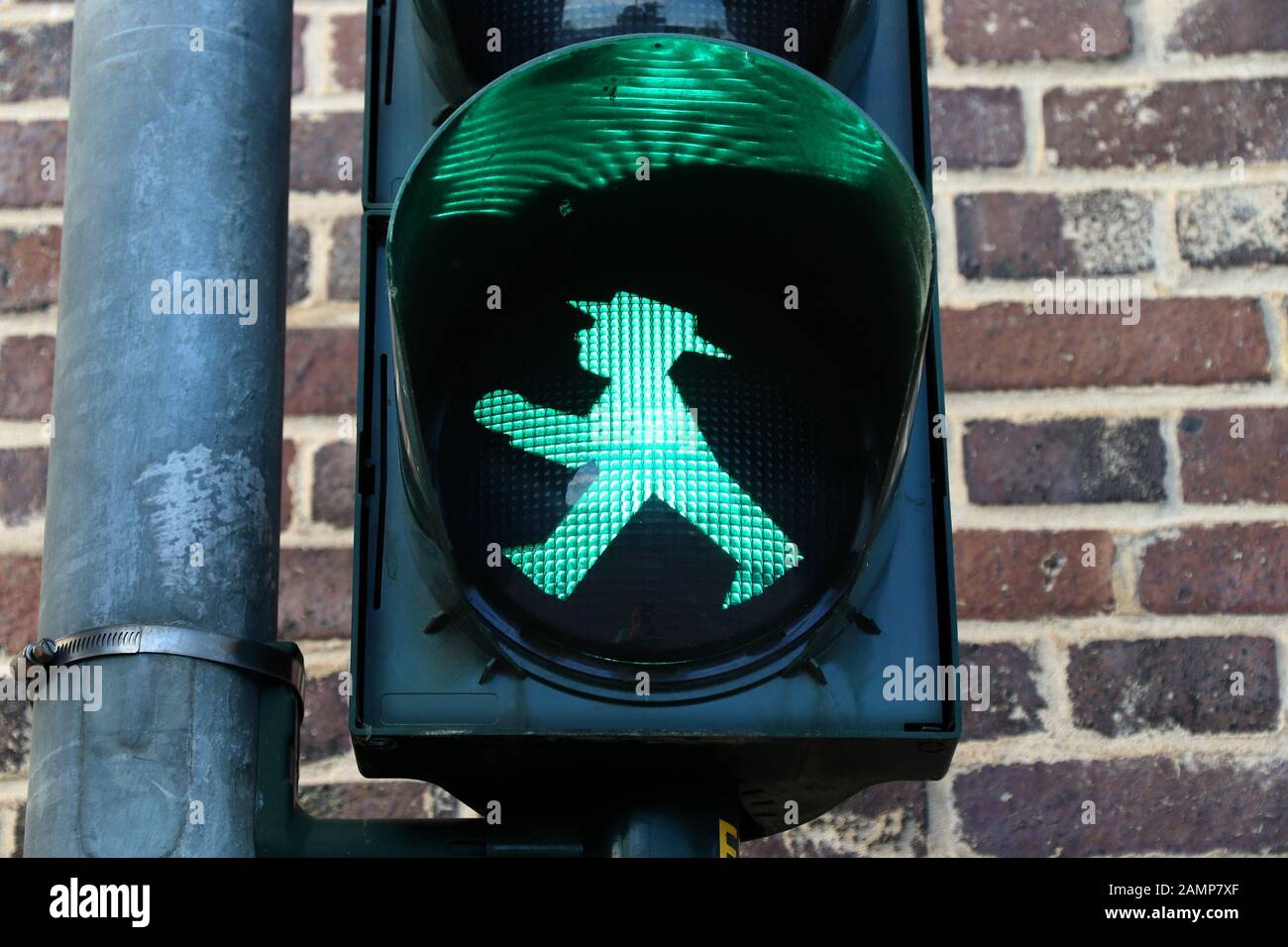 German traffic light - pedestrian green light. Typical pedestrian ...