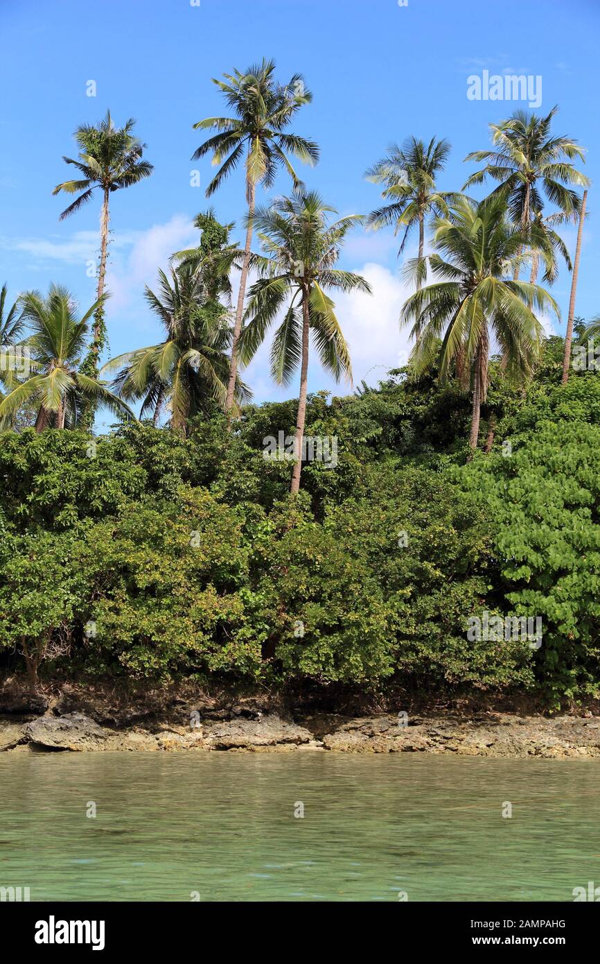 Natural landscape in Palawan island, Philippines. Snake Island Stock ...