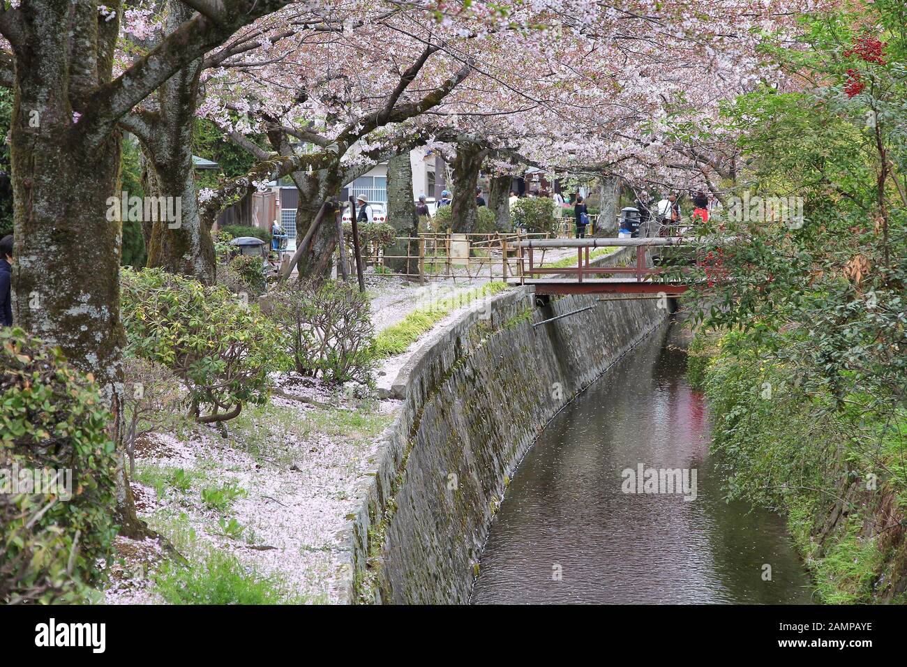 Kyoto, Japan - Philosopher's Way, a walkin path famous for its cherry ...