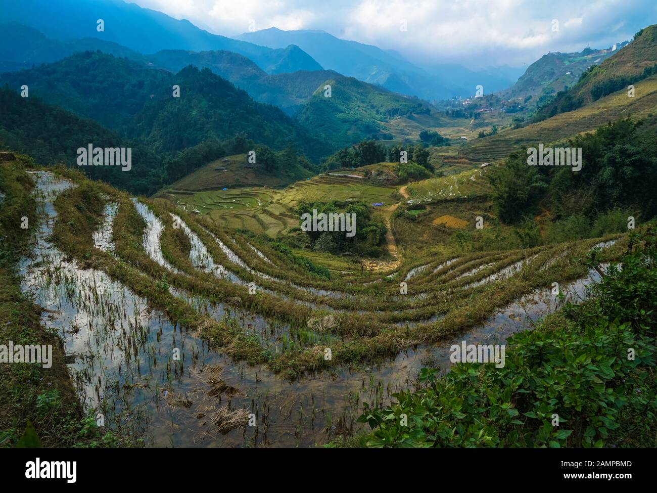Rice terraces in Sapa, Vietnam Stock Photo - Alamy