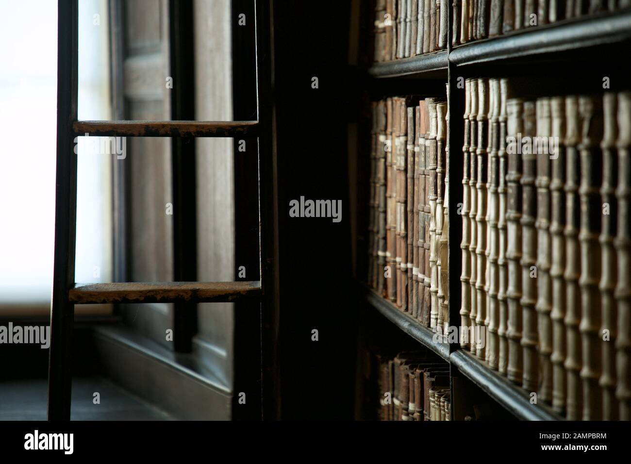 University bookshelf hi-res stock photography and images - Alamy