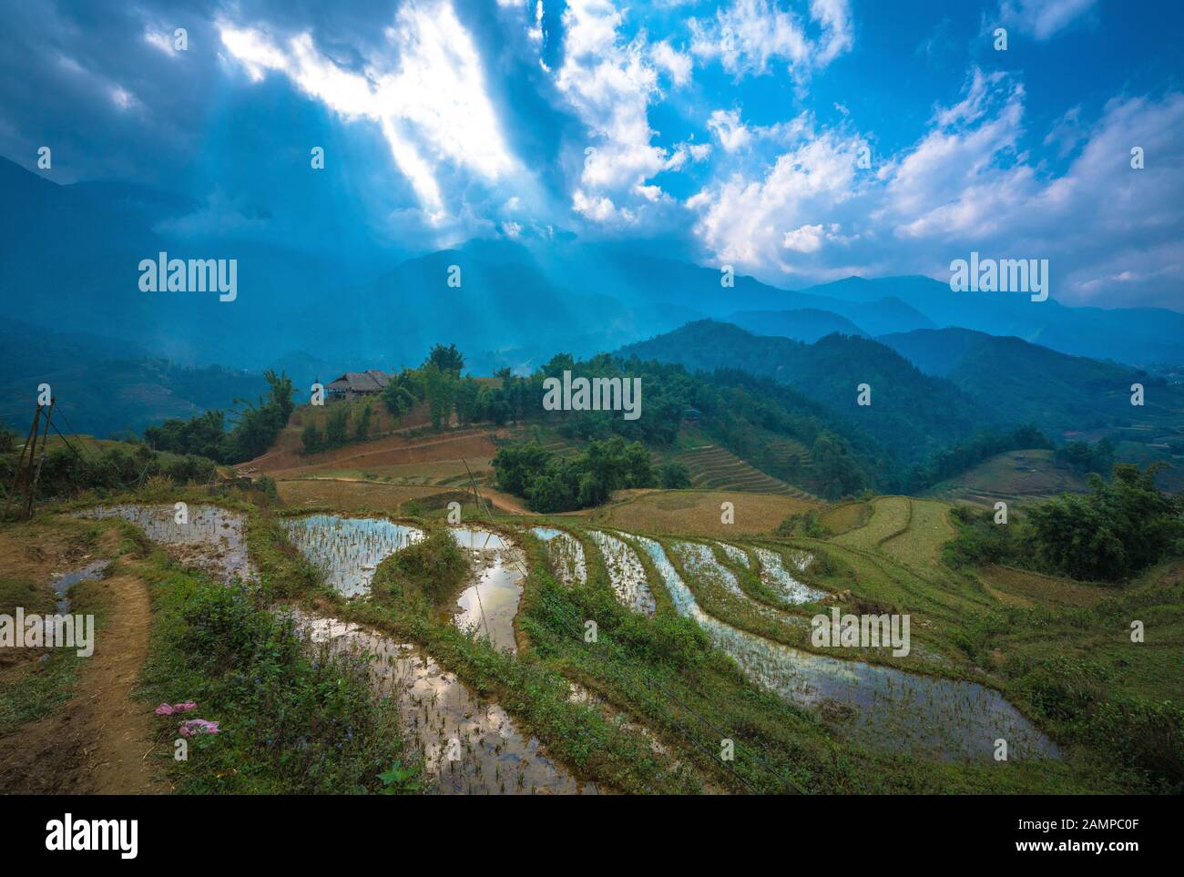 Rice terraces in Sapa, Vietnam Stock Photo - Alamy