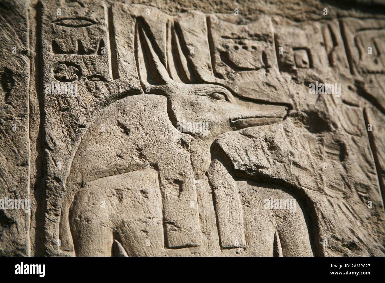 Anubis Hieroglyphics