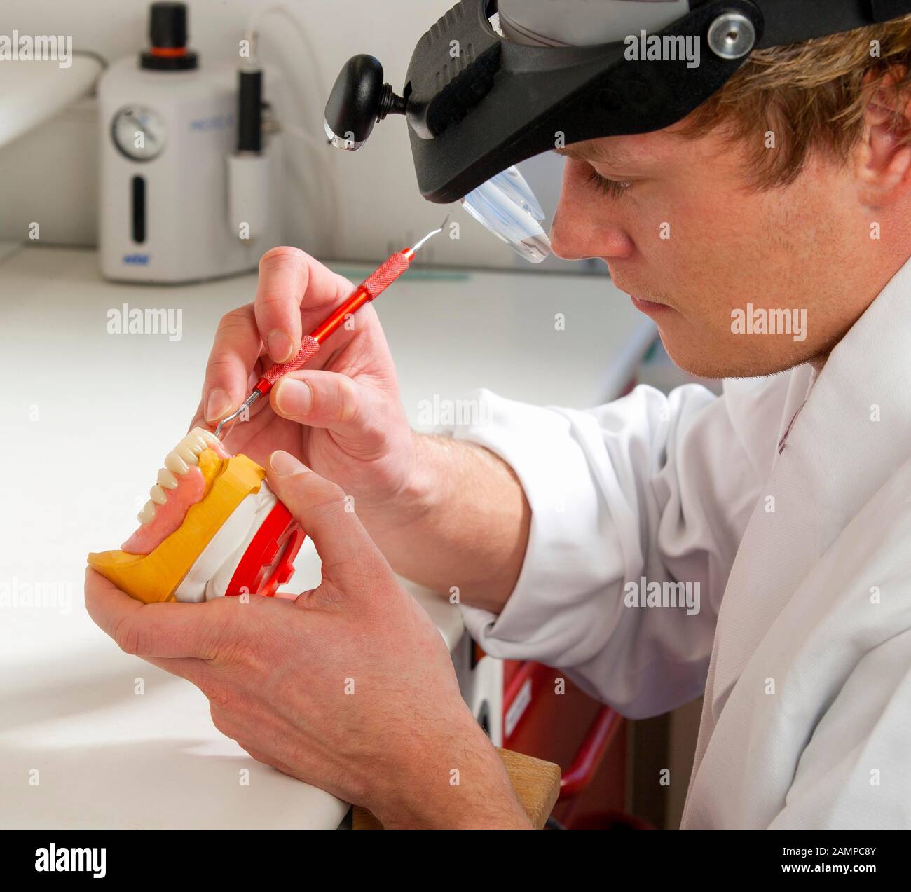 Dental technician, dental technology, modelling on lower jaw partial ...