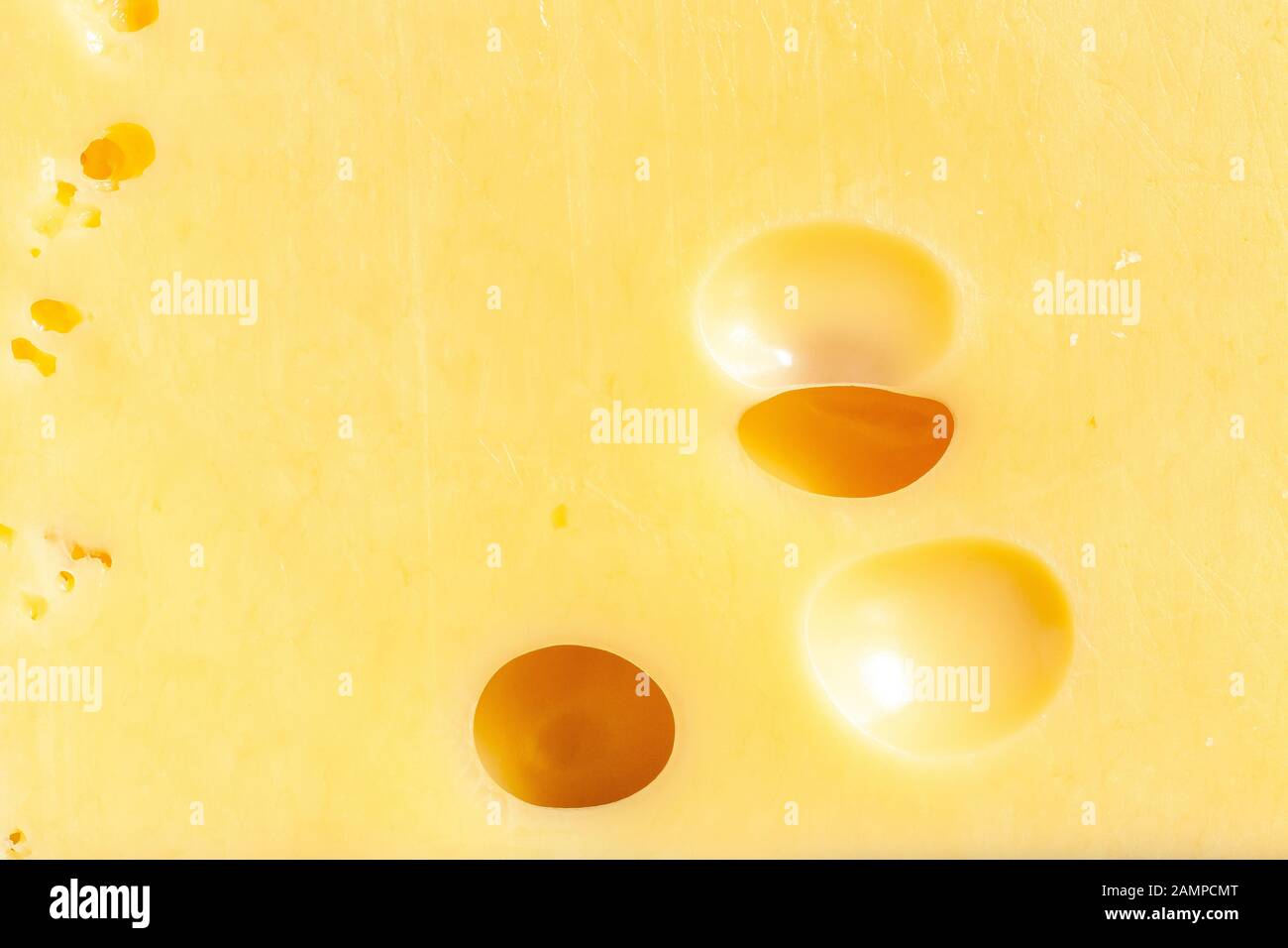 Emmental cheese texture close up. Macro Swiss yellow cheese with holes ...
