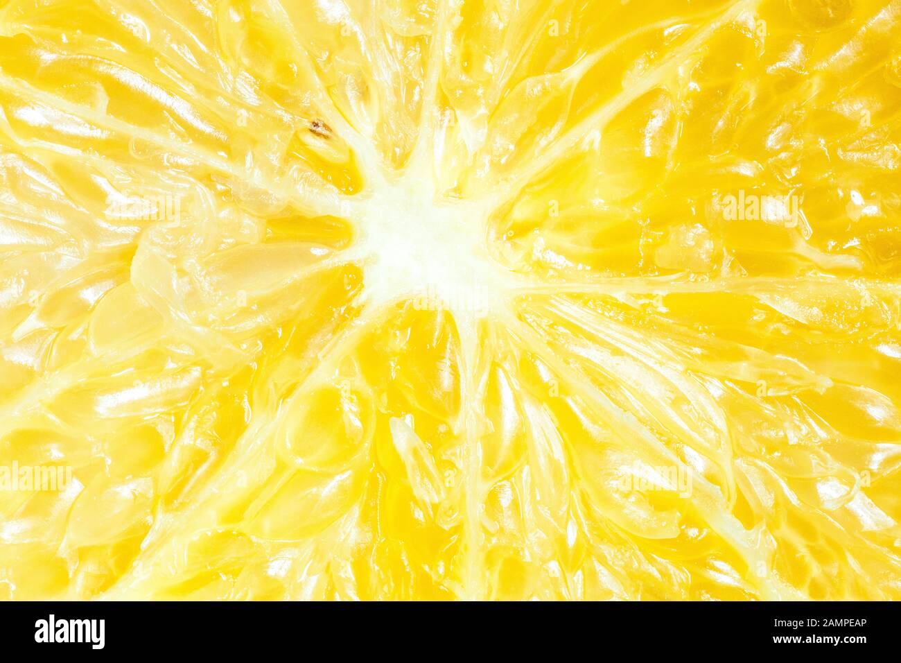 Yellow sliced lemon texture close up. Half slice of fresh citrus macro ...