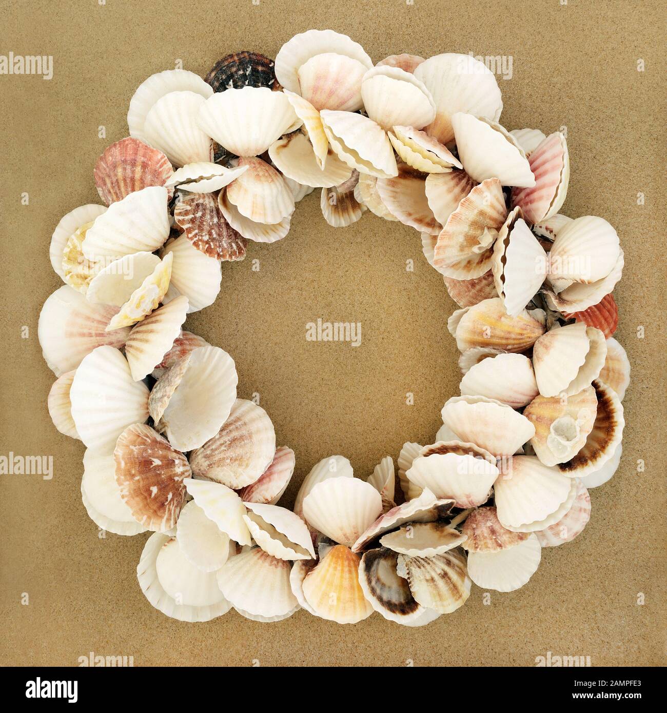 Shell Holiday Wreaths