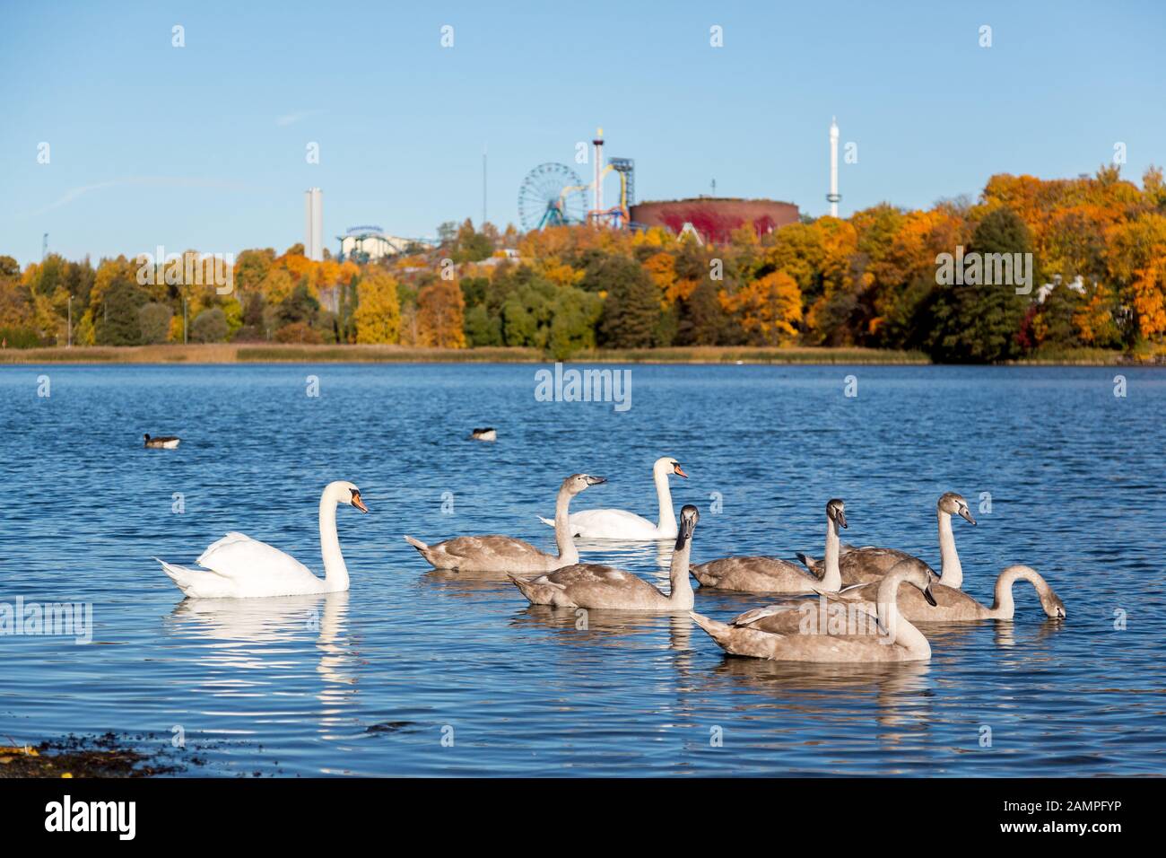 Helsinki Finland autumn background with yellow and red trees. Ruska ...