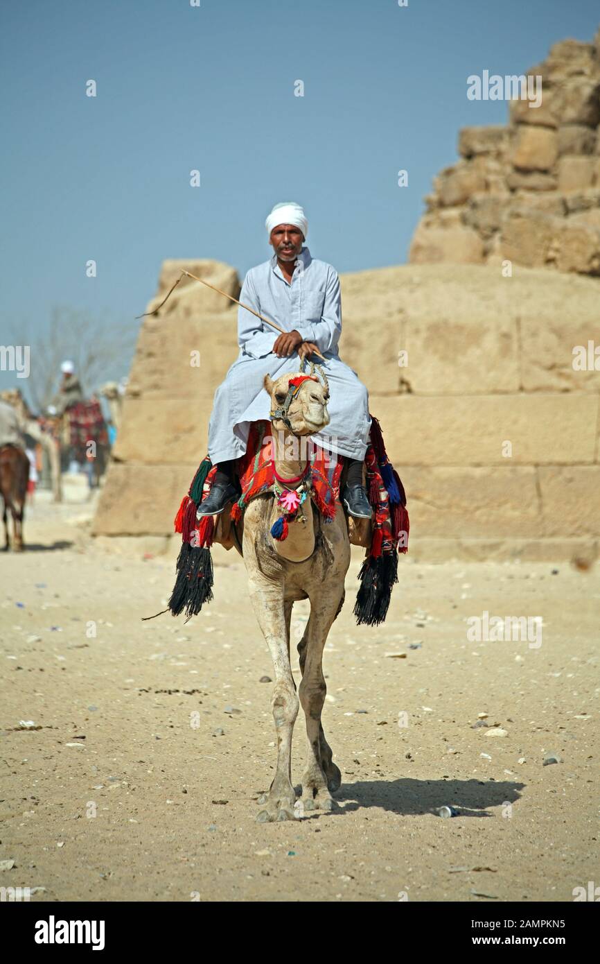 Camel Rider at The Pyramids and Sphinx Giza plateau Cairo Egypt Stock ...