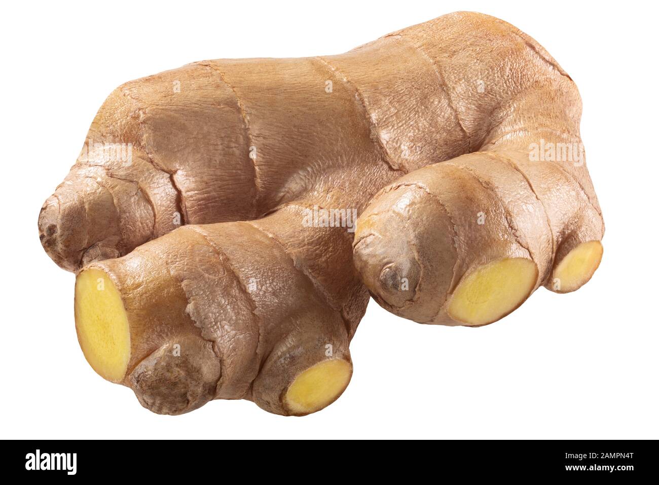 Ginger root (Zingiber officinale rhizome), isolated Stock Photo - Alamy