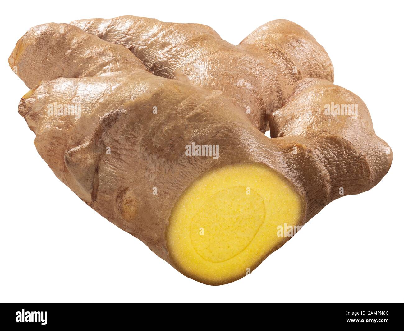 Ginger root (Zingiber officinale rhizome), isolated Stock Photo - Alamy