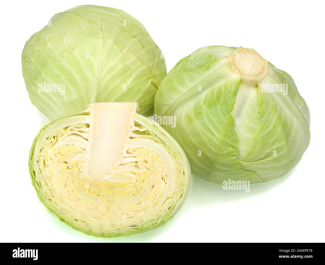 Cabbage isolated on white background Stock Photo - Alamy