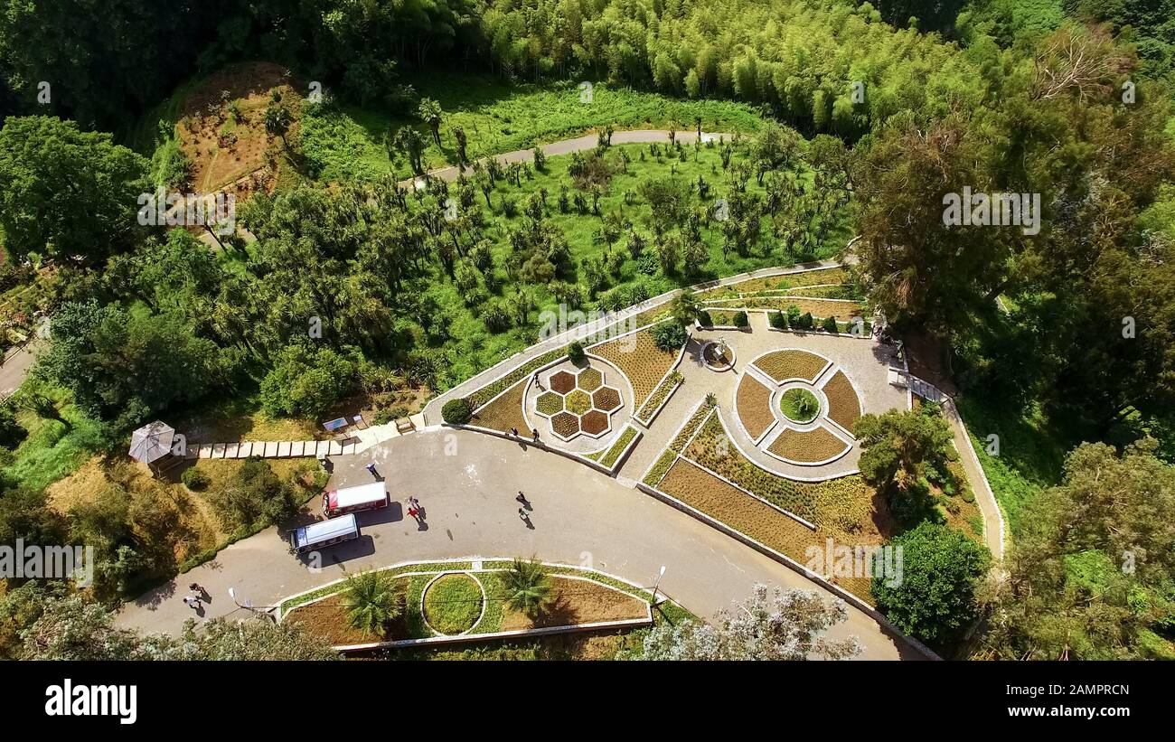 Tourists visit botanical garden Batumi, natural sightseeing place ...
