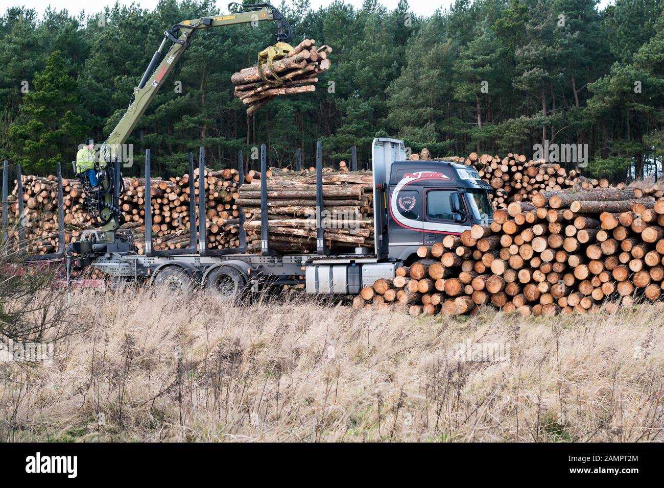 Lorry transporting logs hi-res stock photography and images - Alamy