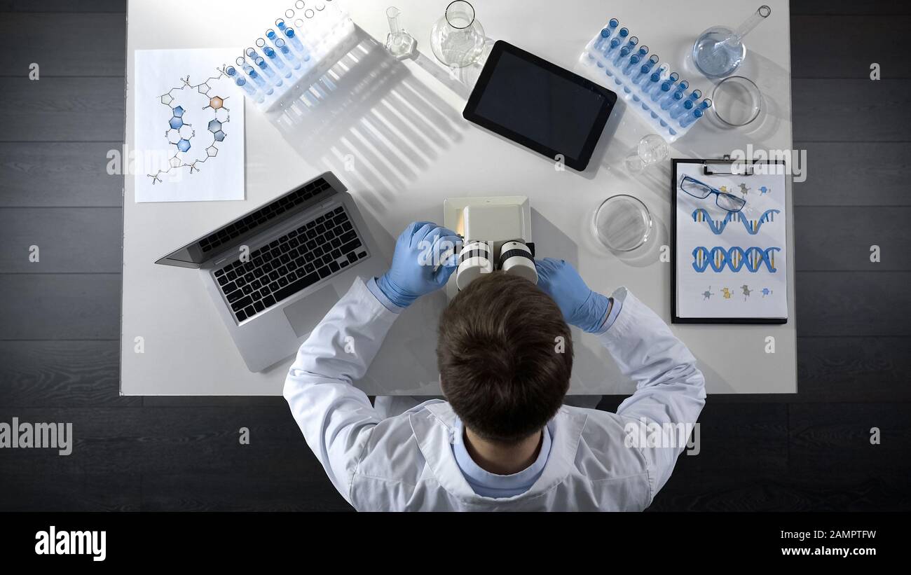 Lab assistant adjusting microscope objective hi-res stock photography ...