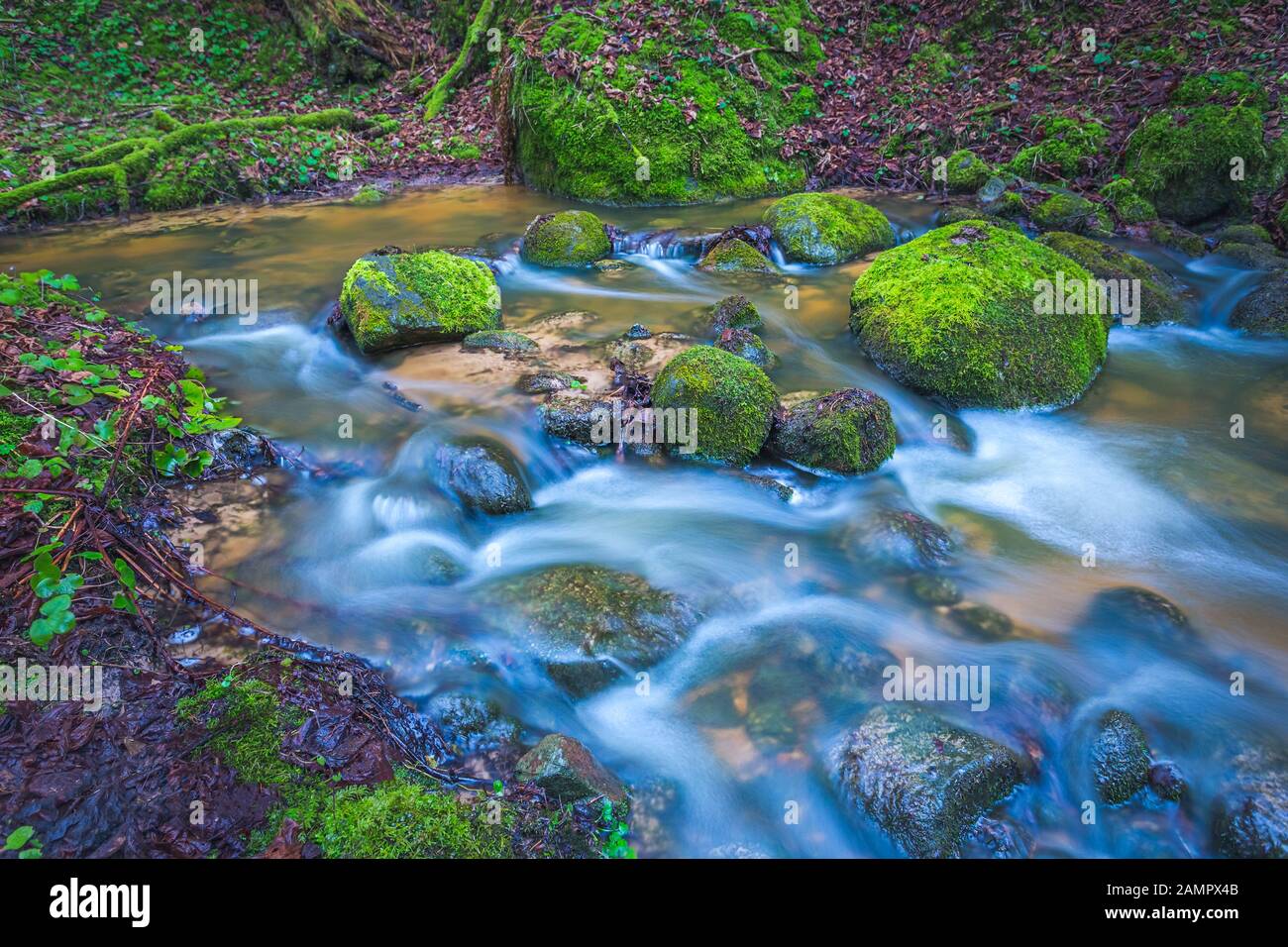 Green landscape with small river in the forests Stock Photo - Alamy