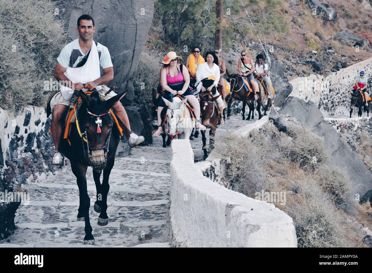 Donkey On Stairs Of Santorini Greece High Resolution Stock Photography ...
