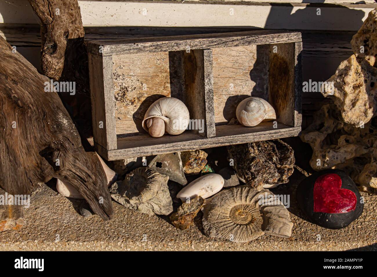 small wooden shelf with snail shells laying in it, between stones ...