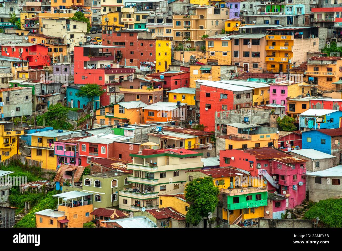 Colored Hood in Guayaquil Stock Photo - Alamy